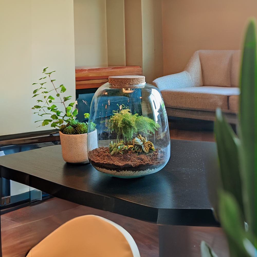 Rainforest Terrarium DIY Kit | Easy Care Miniature Rainforest – Bloombox Club