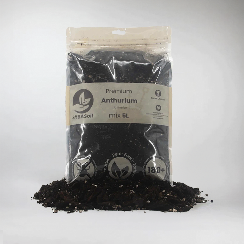 Premium Anthurium Mix – Boost Plant Growth – Bloombox Club