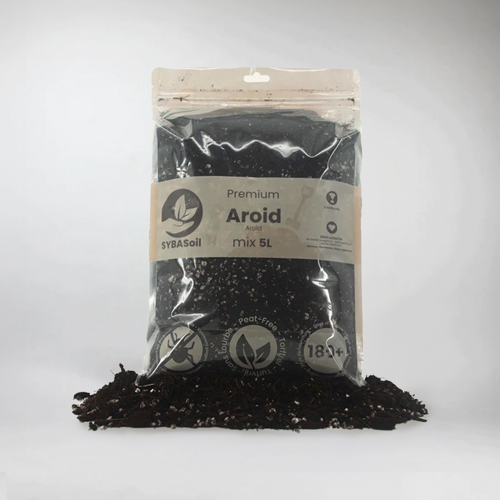 Premium Aroid Mix for Tropical Houseplants – Bloombox Club