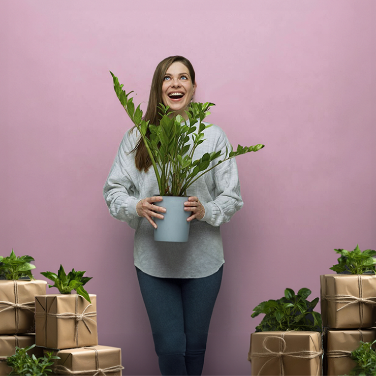 Plant Subscription Box: Specialty Growers Selections – Bloombox Club