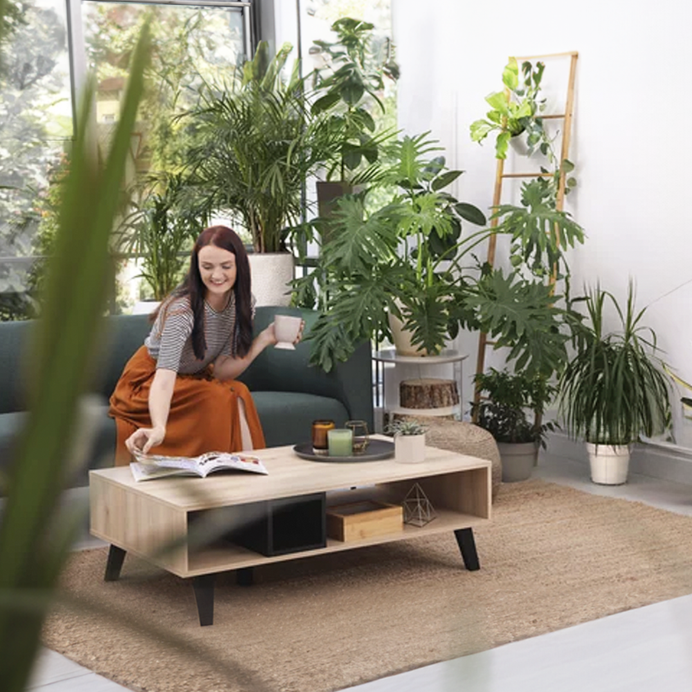 Plant Subscription Box: Specialty Growers Selections – Bloombox Club