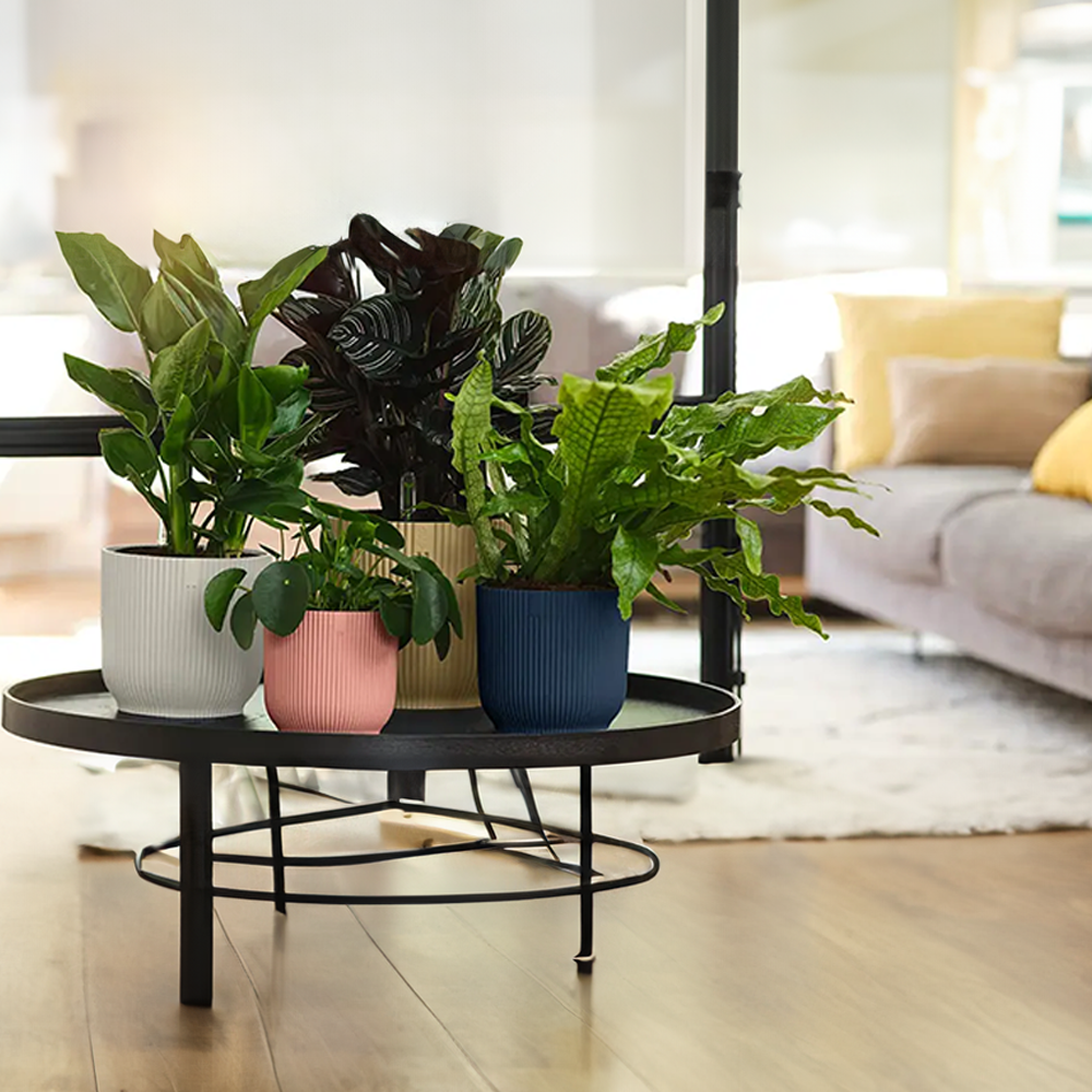 Elho Blue Plant Pot: Vibrant Addition to Your Indoor Garden – Bloombox Club