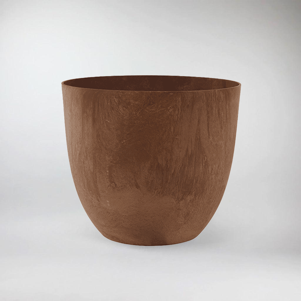 Oak Finish Plant Pot – Bloombox Club