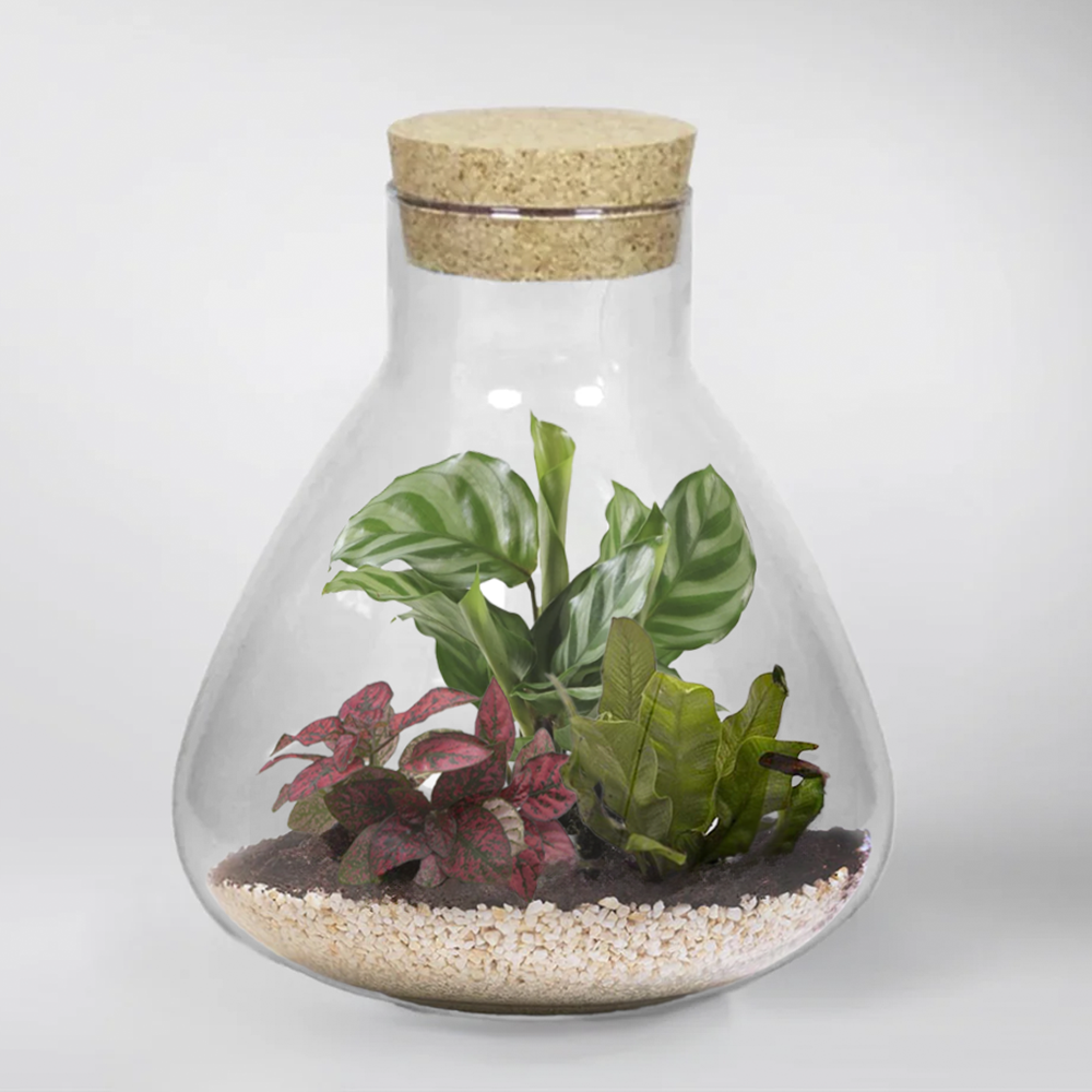 Eco-Friendly 32cm Pyramid Terrarium Jar with Cork Lid - Unique Home ...