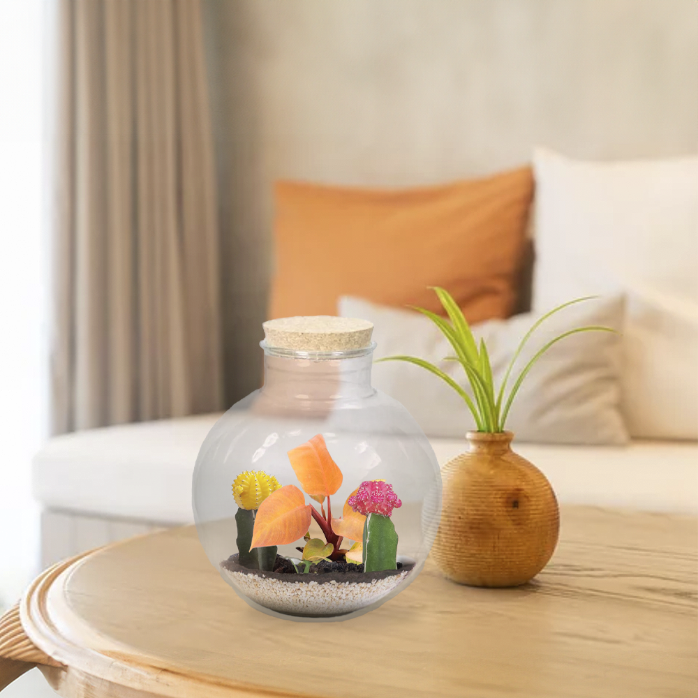 Rainbow Terrarium DIY Kit | Build Your Own Miniature Ecosystem ...