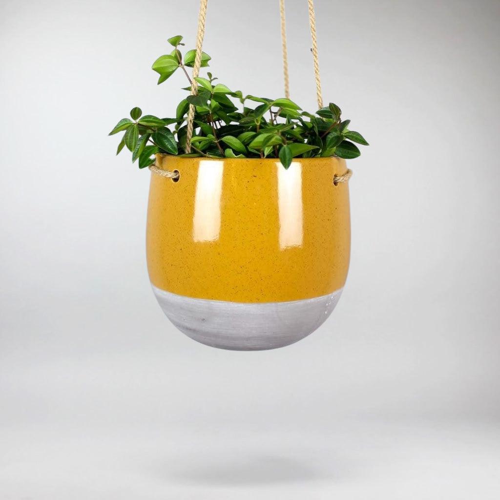 Hitch Hanging Pot: Space-Saving Solution for Your Indoor Garden ...