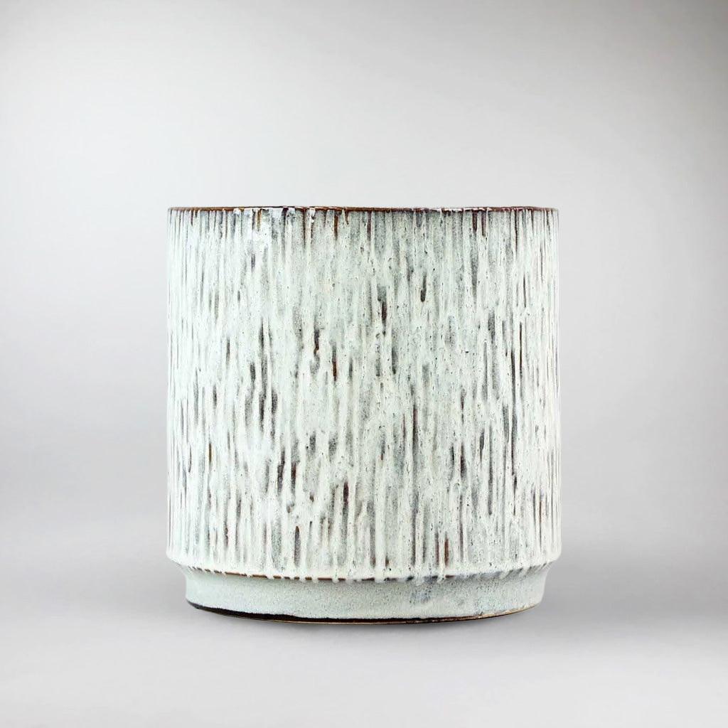 Birch Pot: Chic Minimalist Ceramic Pots for Indoor Plants – Bloombox Club