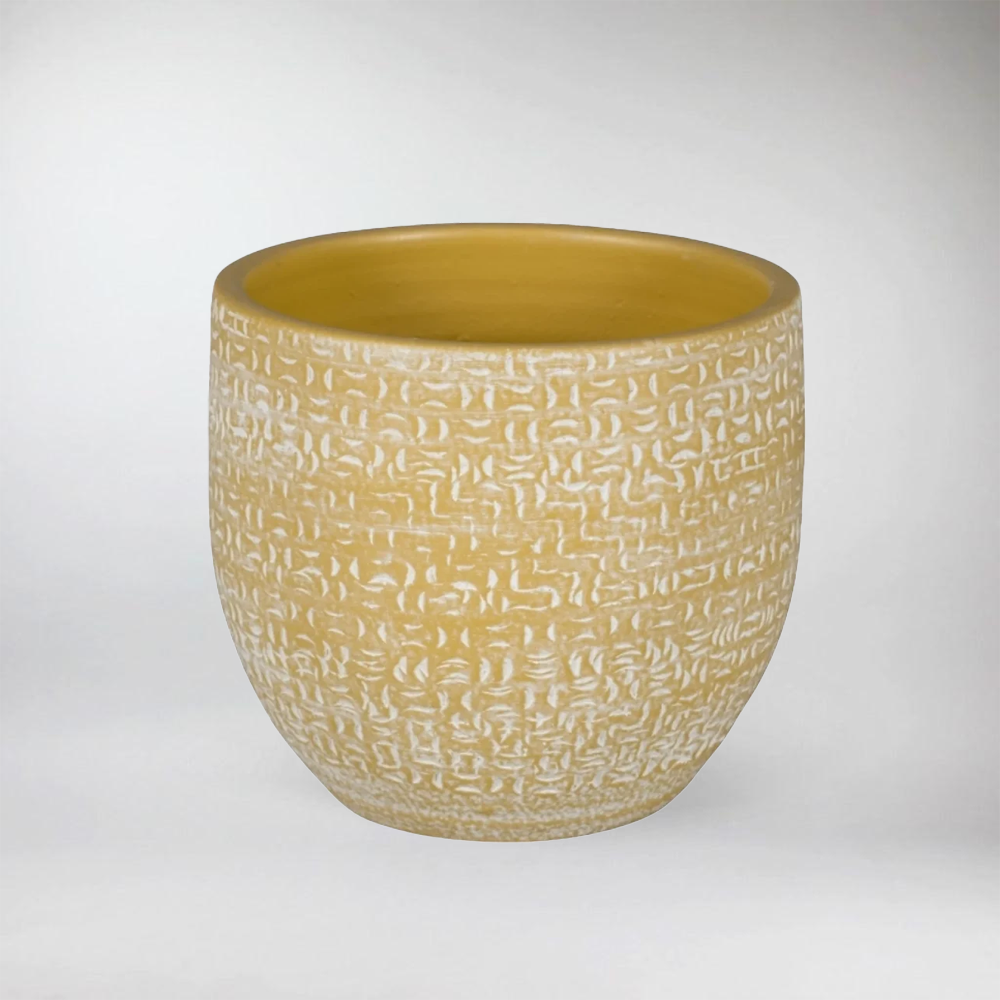 Sunny Yellow Textured Ceramic Pot for Indoor Plants – Bloombox Club