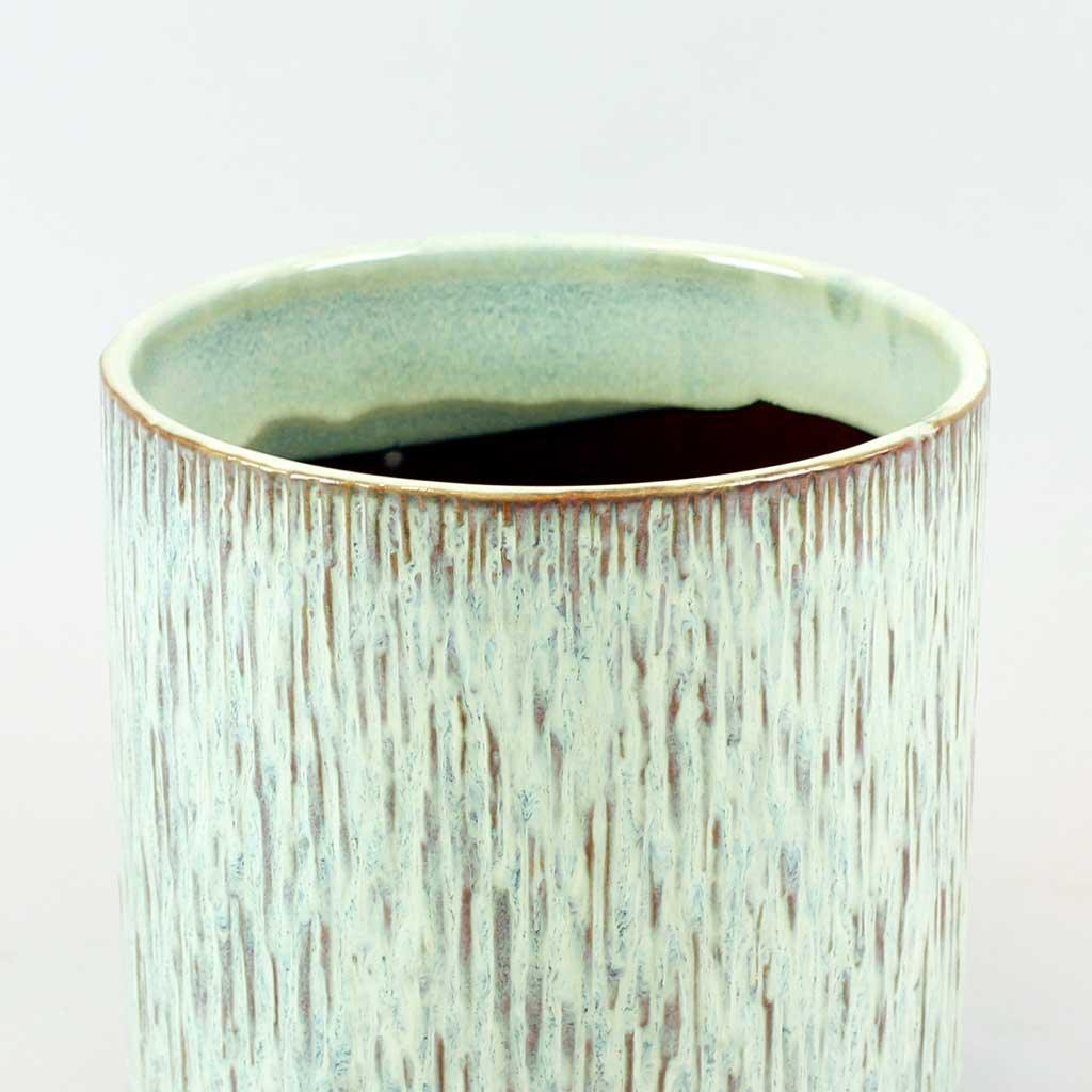 Lichen Pot | Elegant and Versatile Ceramic Pot – Bloombox Club
