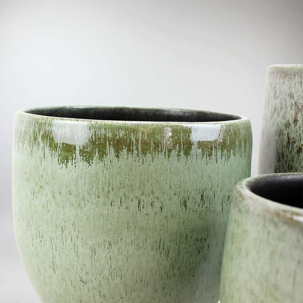 Mist Pot | Perfect for Indoor Greenery | Bloombox Club