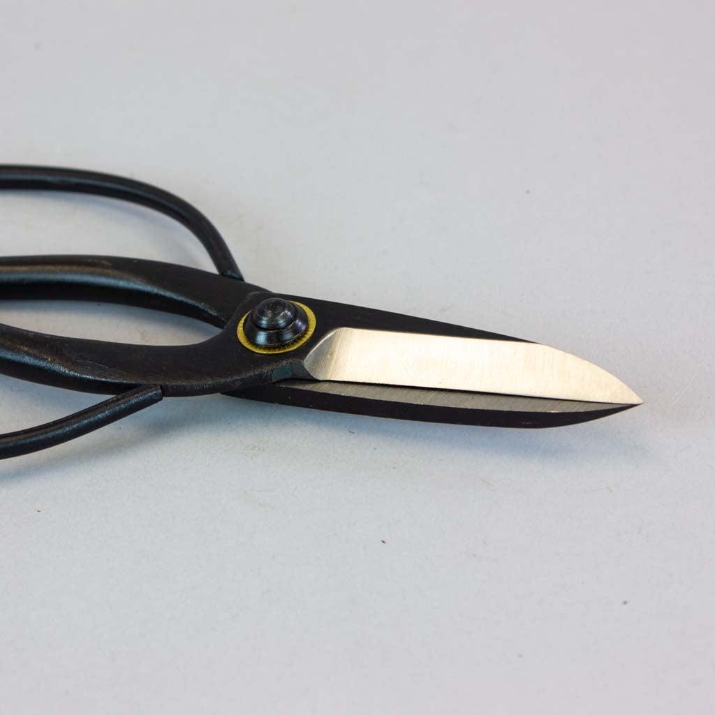 Garden Scissors: Precision Trimming for Thriving Plants – Bloombox Club