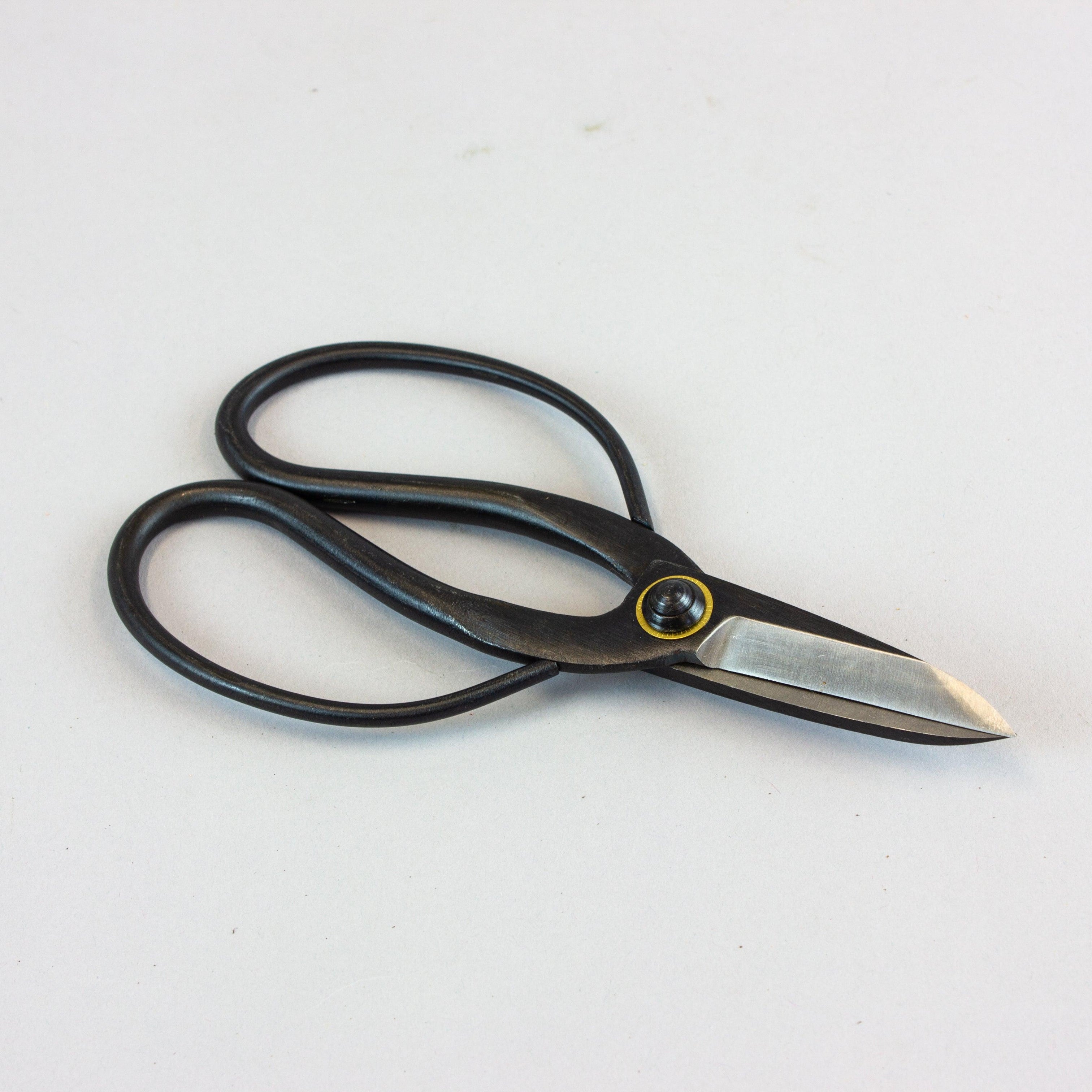 Garden Scissors: Precision Trimming for Thriving Plants – Bloombox Club